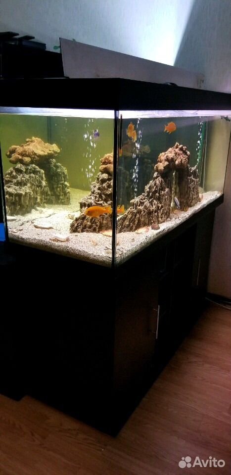 Аквариум 465л