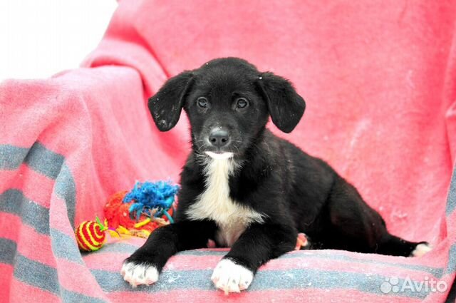 Мальчик 2,5 мес