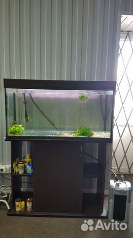 Аквариум 200 литров со всем содержимым