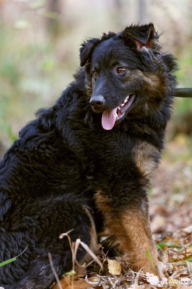 Руна ждёт вас