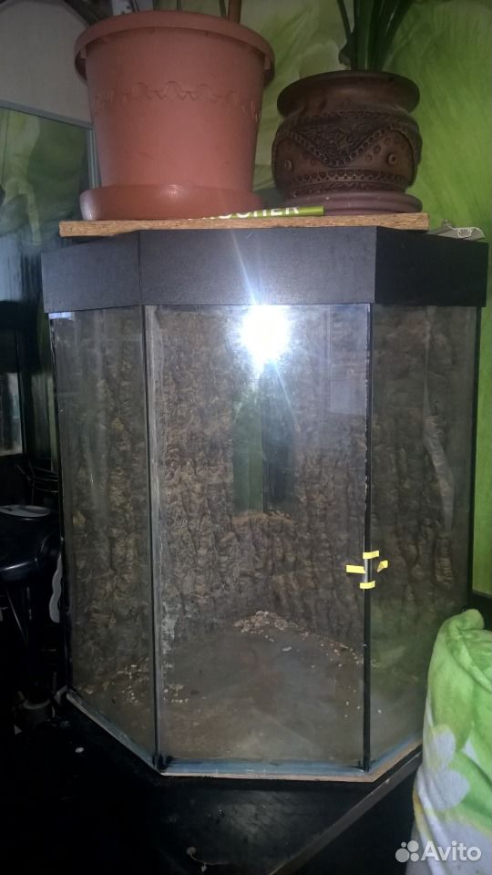 Аквариум/террариум угловой красивый