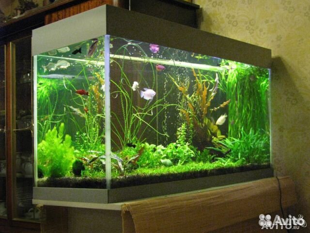 Аквариумы укомплектованные 15L,30L,50L,60L,100L