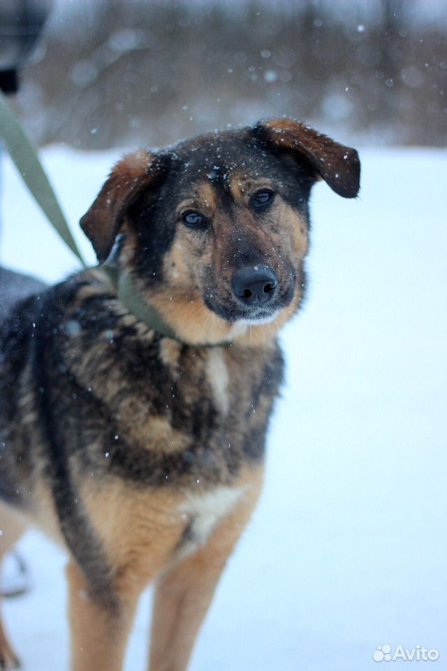Девочка - Светлячок