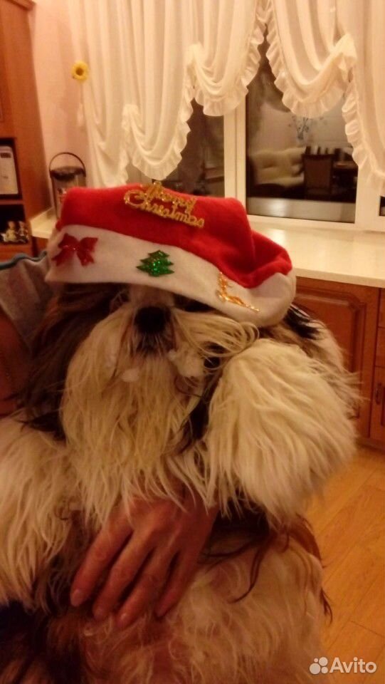 Новогодние сюрпризы родным