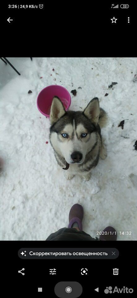 Отдам в хорошие руки