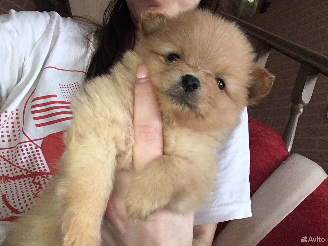 Мишутки клёвые