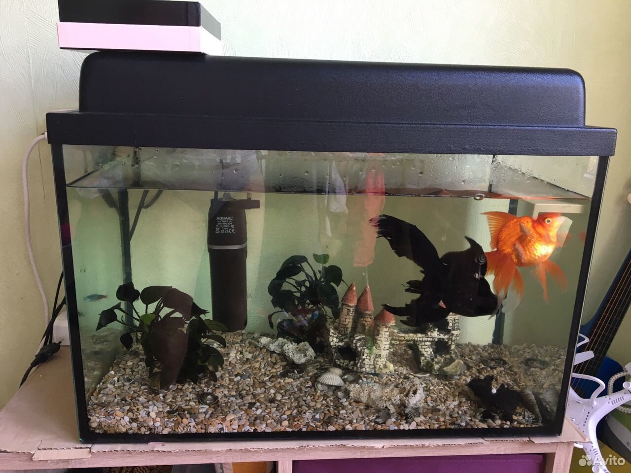Аквариум с рыбами
