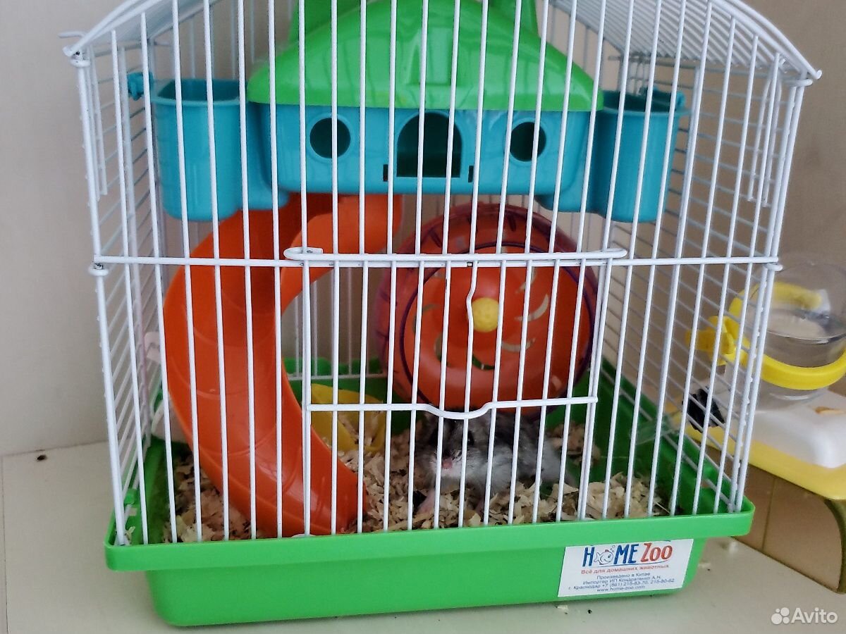 Клетка с хомяком