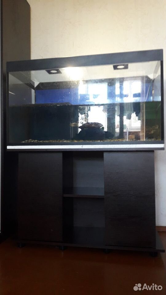 Продаётся террариум с черепахами