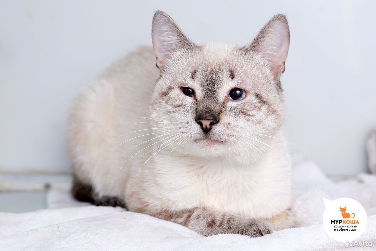 Маленького Мистера Икса нашли в подъезде