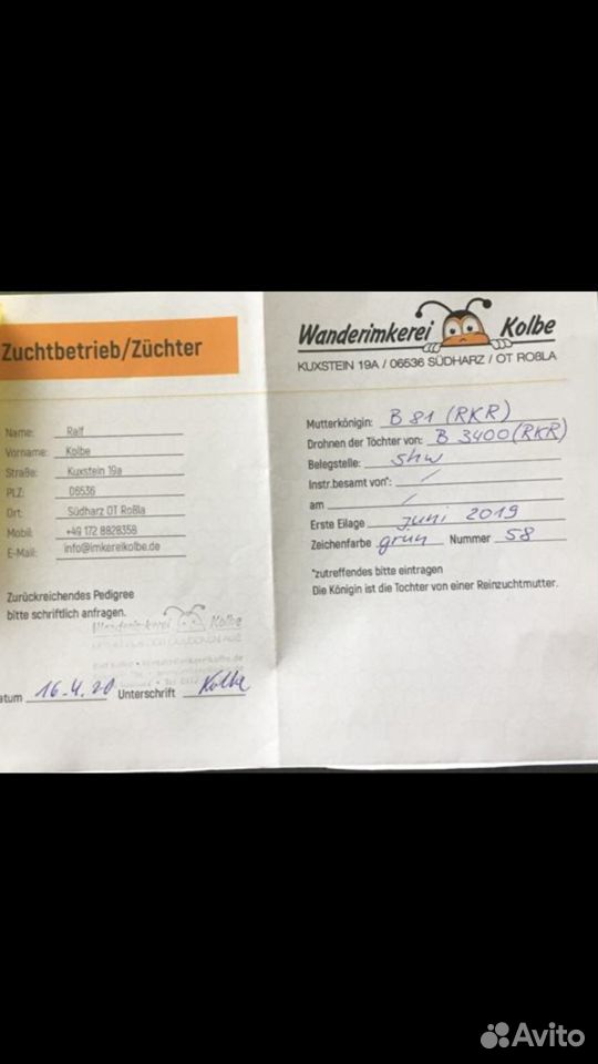 Продажа плодных и неплодных маток