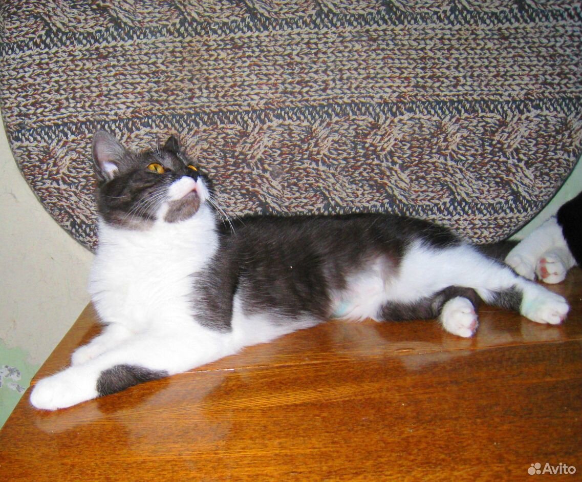 Миниатюрная красавица с кукольным личиком