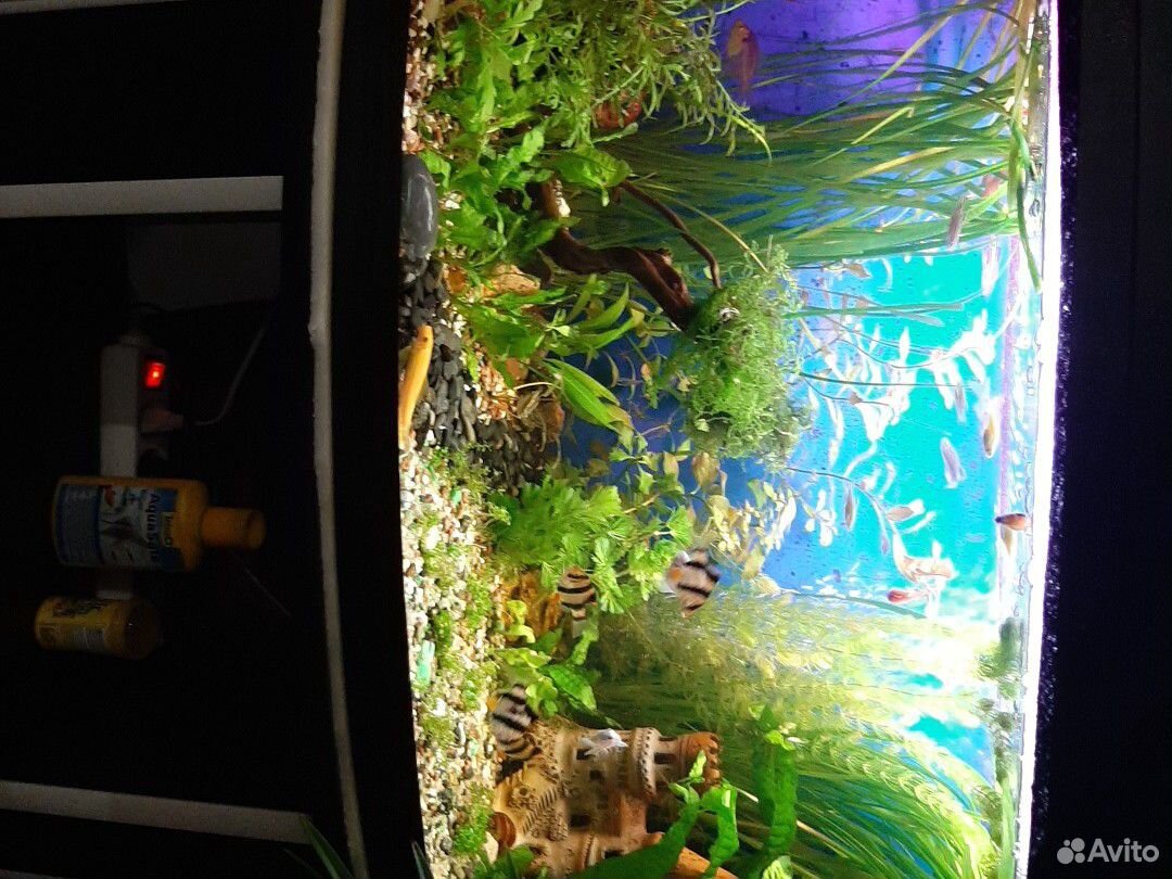 Понарамный аквариум