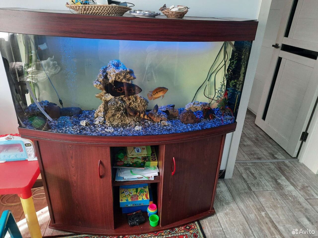 Аквариум