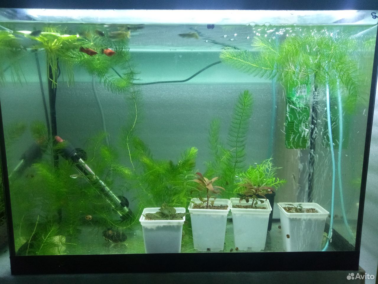 Аквариум