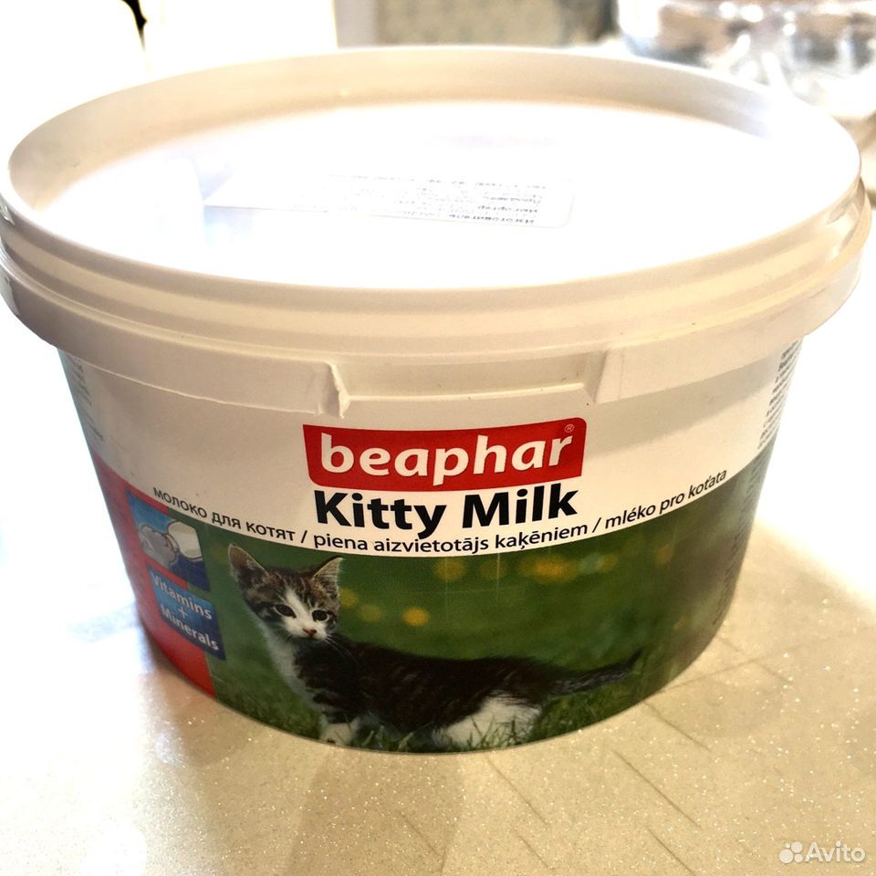 Питание для котят