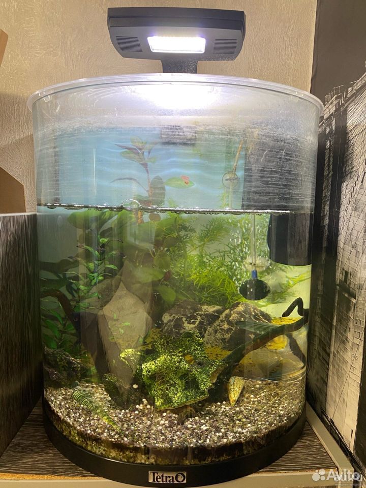 Аквариум Tetra AquaArt Explorer Line Tropical 30 л