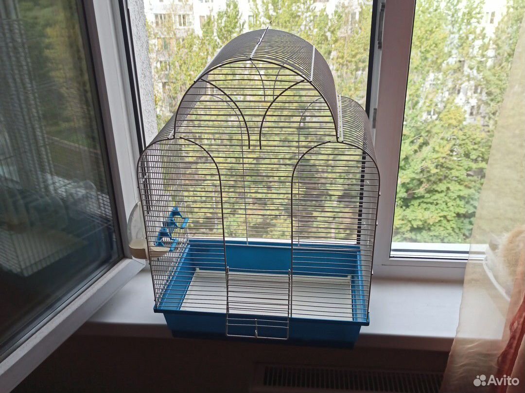 Клетка
