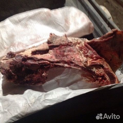 Продам Мясо телятины
