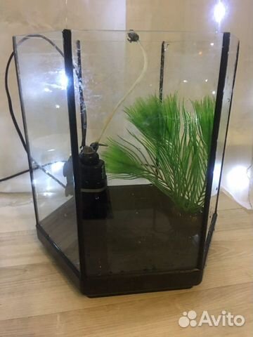 Аквариум