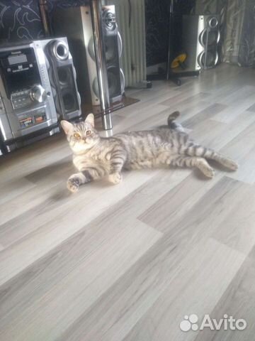 Ищем невесту