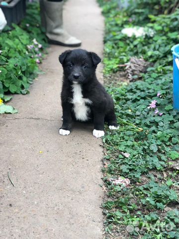 Две малышки ищут мам и пап