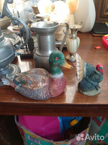 Утка и индюк Германия