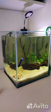 Аквариум 18 литров с рыбками