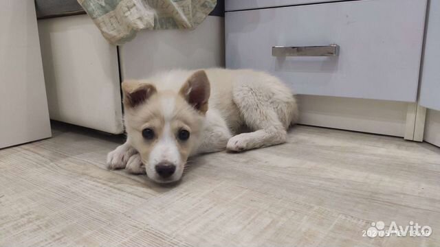 Озорной малыш