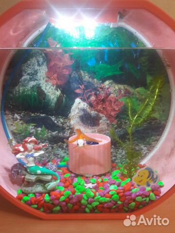Аквариум ариэль
