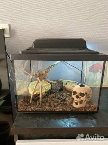 Продам террариум со всем необходимым