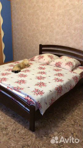 Невеста ждёт жениха пекинеса