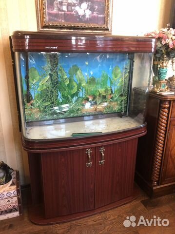 Аквариум с тумбой 240л