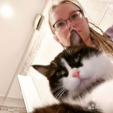 Самая клевая Туфля - в добрый дом