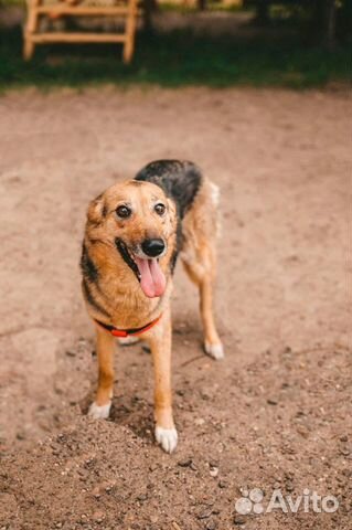 Маленькая, нежная и добрая Креветка