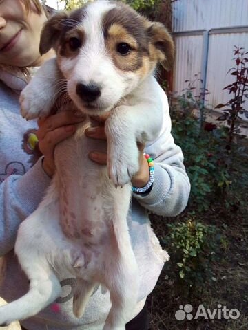 Какава красота