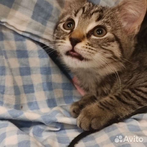 Она классная