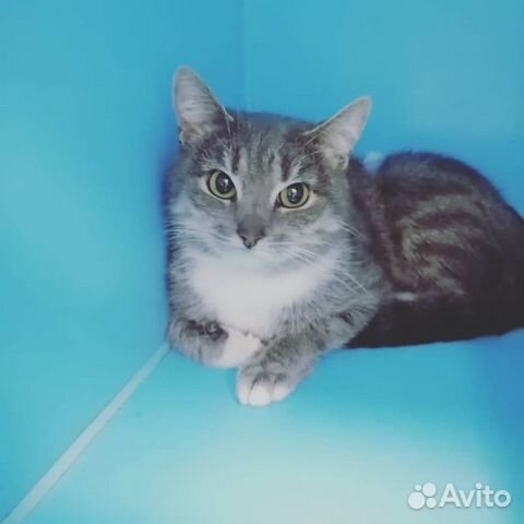 Последний день и дальше улица