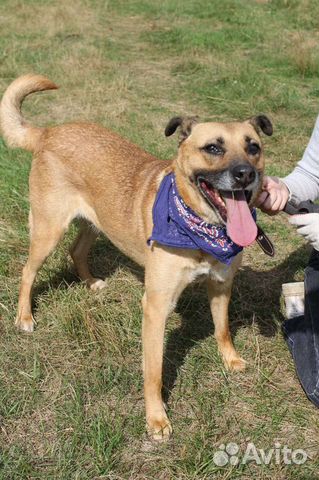 Юлька грустит в приюте