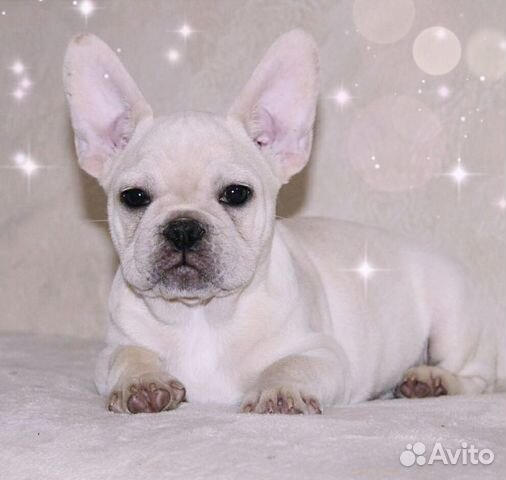 Снеговичок