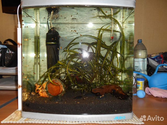 Аквариум 40л