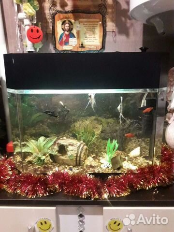 Аквариум