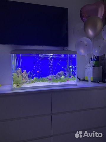 Аквариум с рыбками
