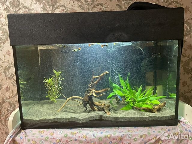 Аквариум на 100 литров