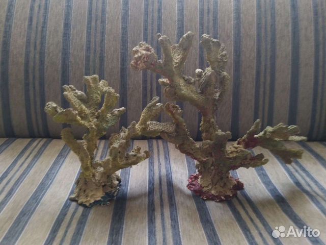 Продам королы для аквариума 1500 торг