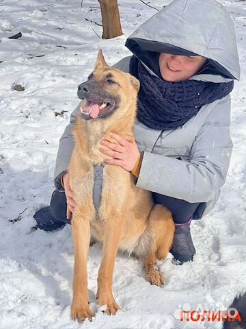 Дорогая Марта