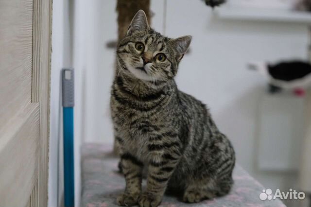 Обнимательный Сережка