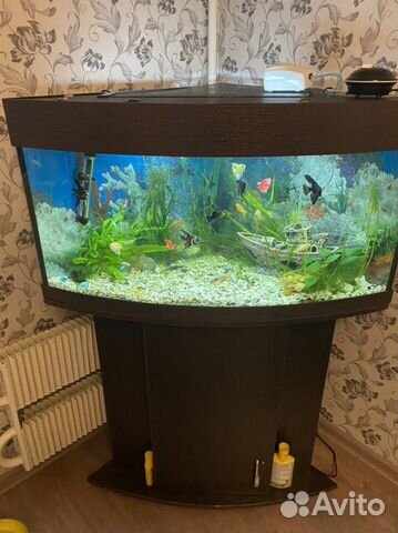 Аквариум 200 литров с тумбой