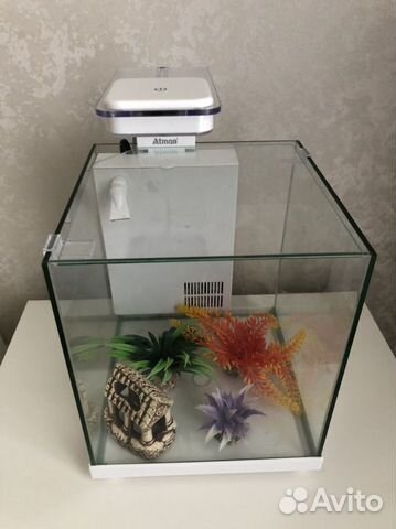 Аквариум