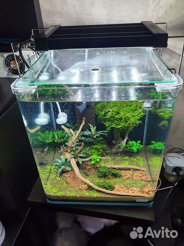 Аквариум нанокуб